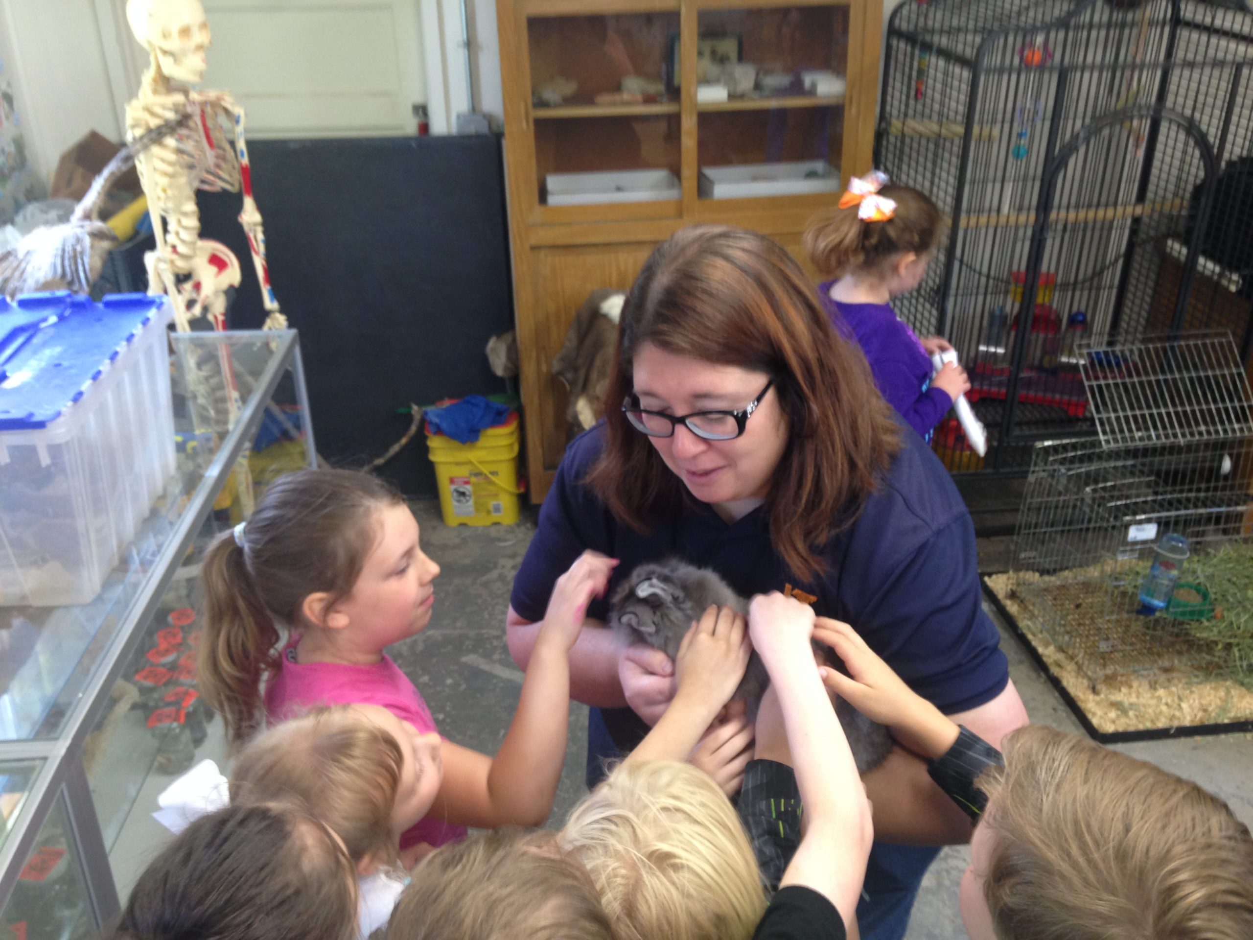 Programs & Activities | Clyde York 4-H Center